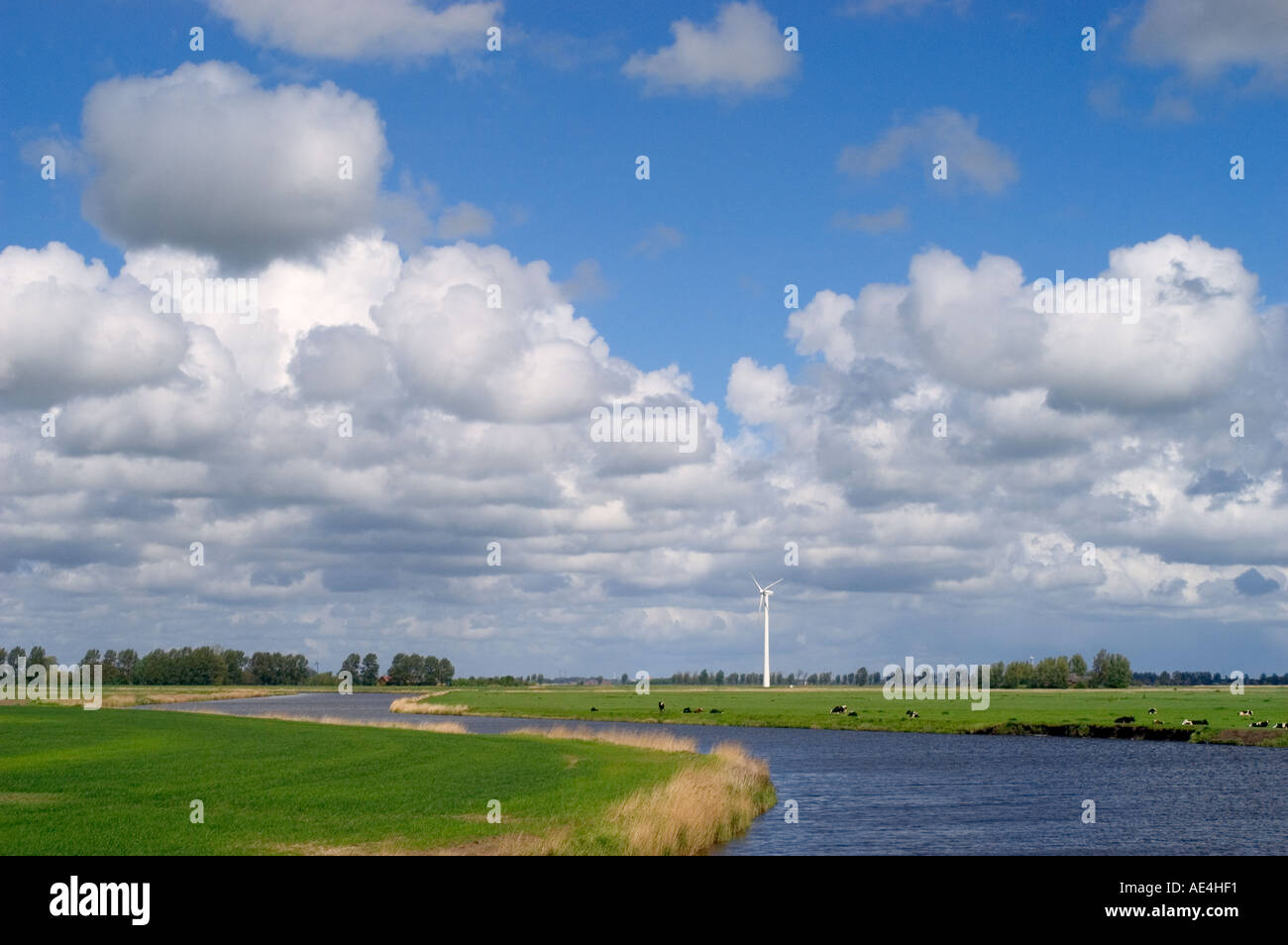 Typical friesian landscape Ostfriesland Niedersachsen Germany Stock ...