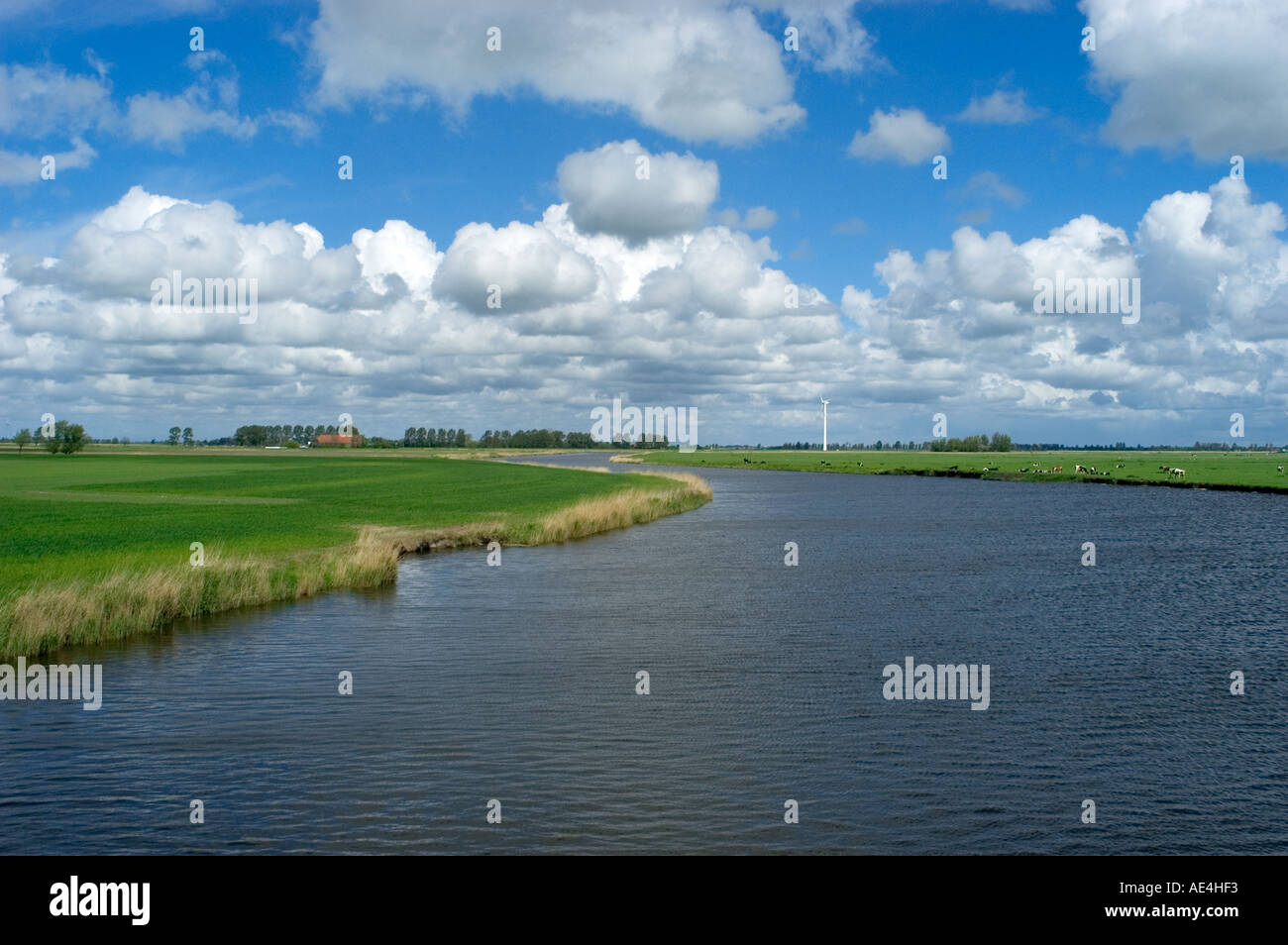 Typical friesian landscape Ostfriesland Niedersachsen Germany Stock ...