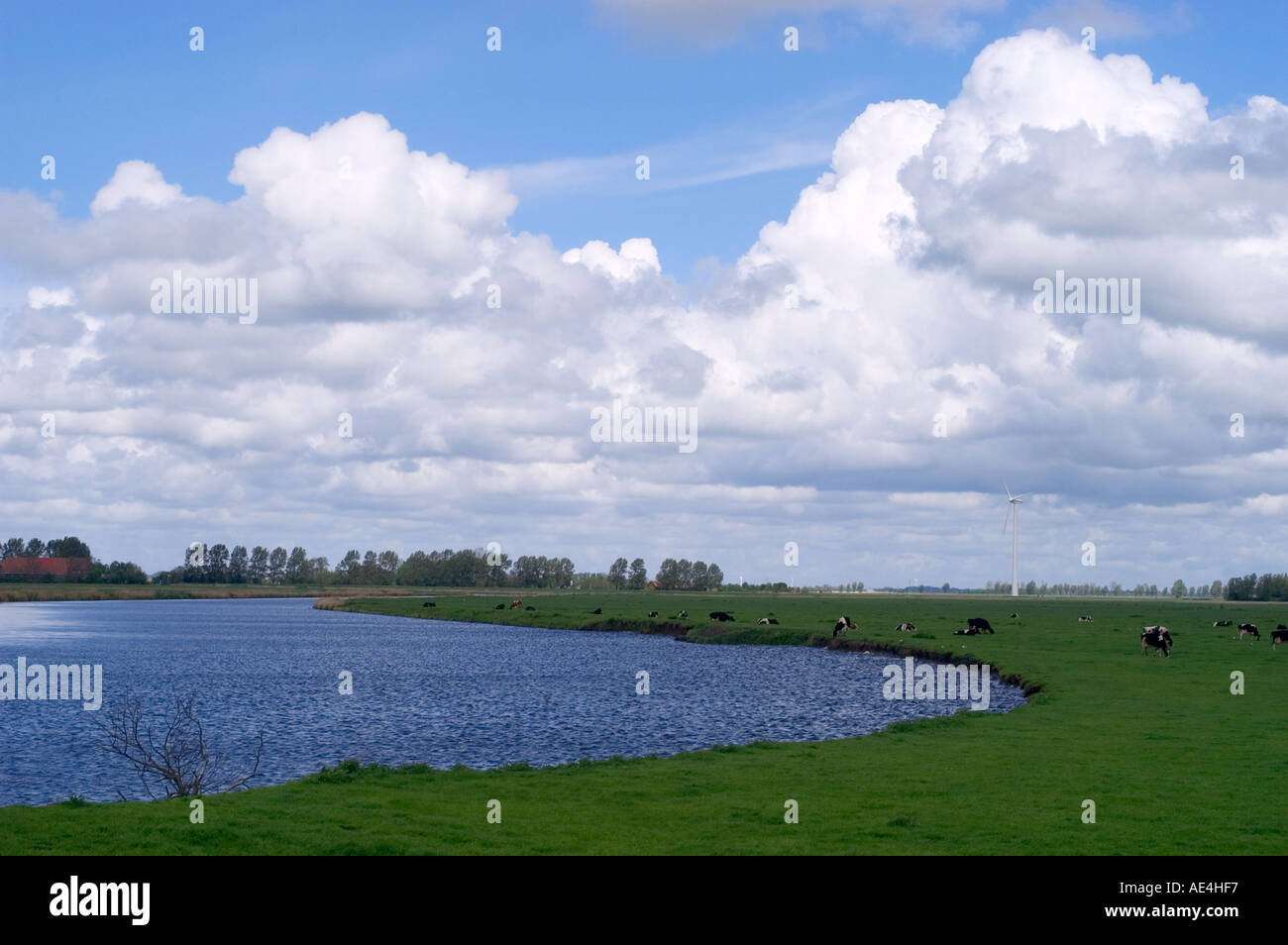 Typical friesian landscape Ostfriesland Niedersachsen Germany Stock ...