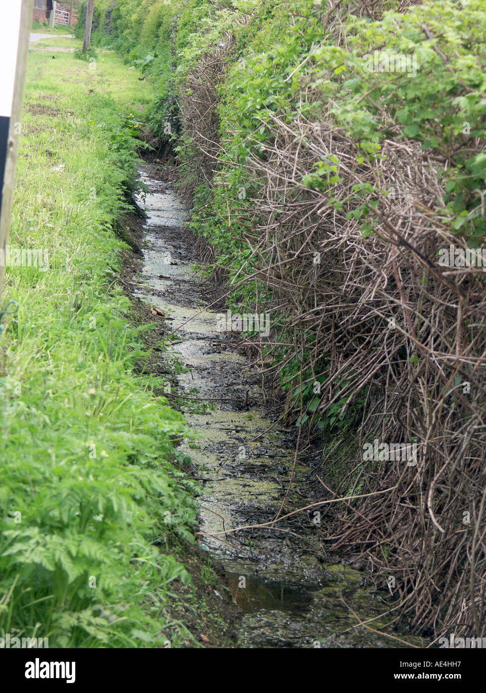 The great ditch hi-res stock photography and images - Alamy