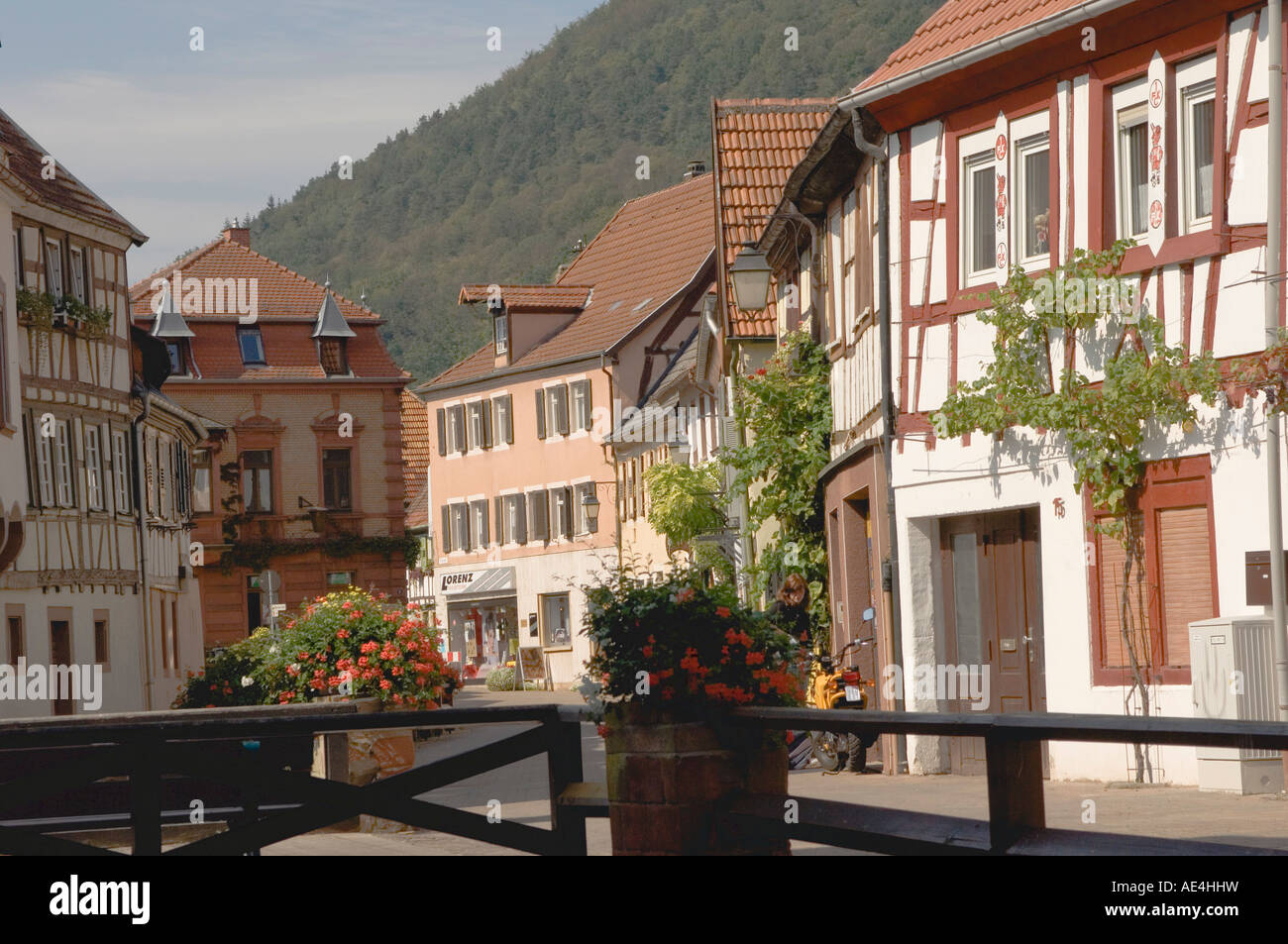 Traditional houses alongside millrace, Annweiler, Pfalzer Wald, Rhineland-Palatinate, Germany ...