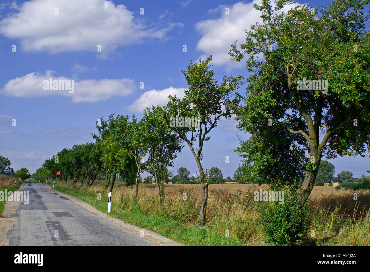 landscape mecklenburg old fruit trees Stock Photo - Alamy