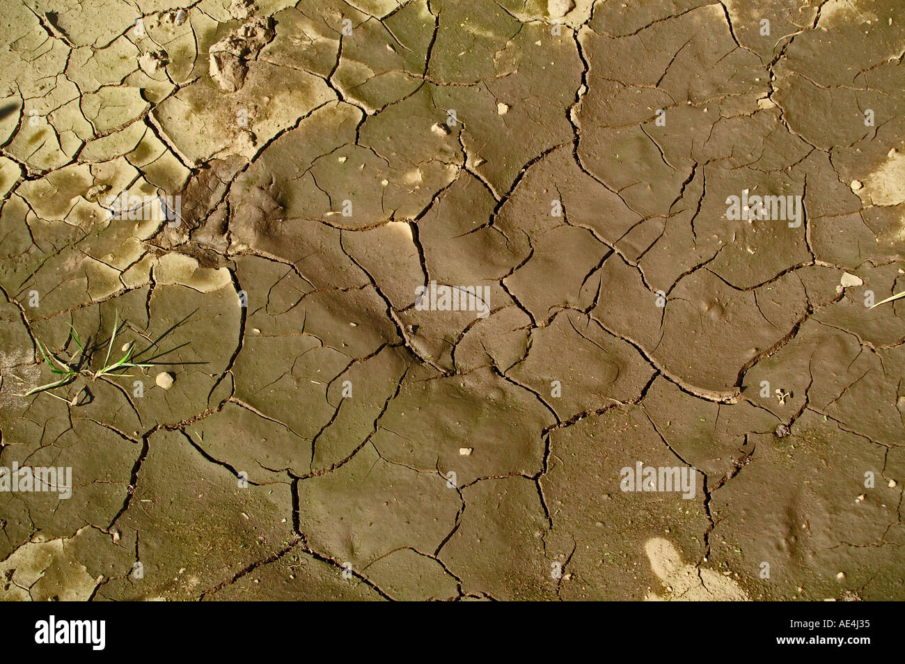 Crackle soil hi-res stock photography and images - Alamy