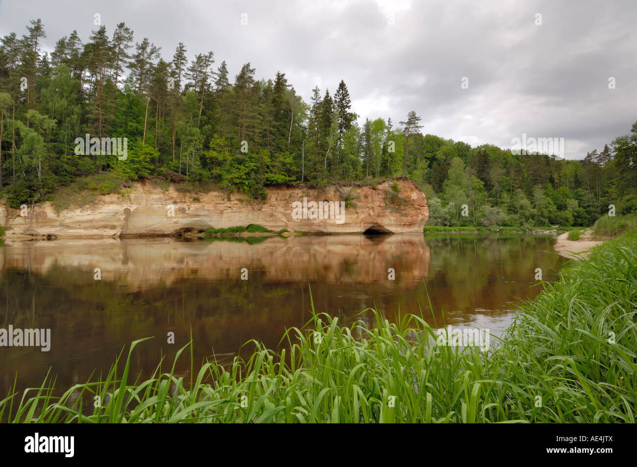 Sandstone cliff alongside the River Gauja, near Ligatne, Gauja National ...