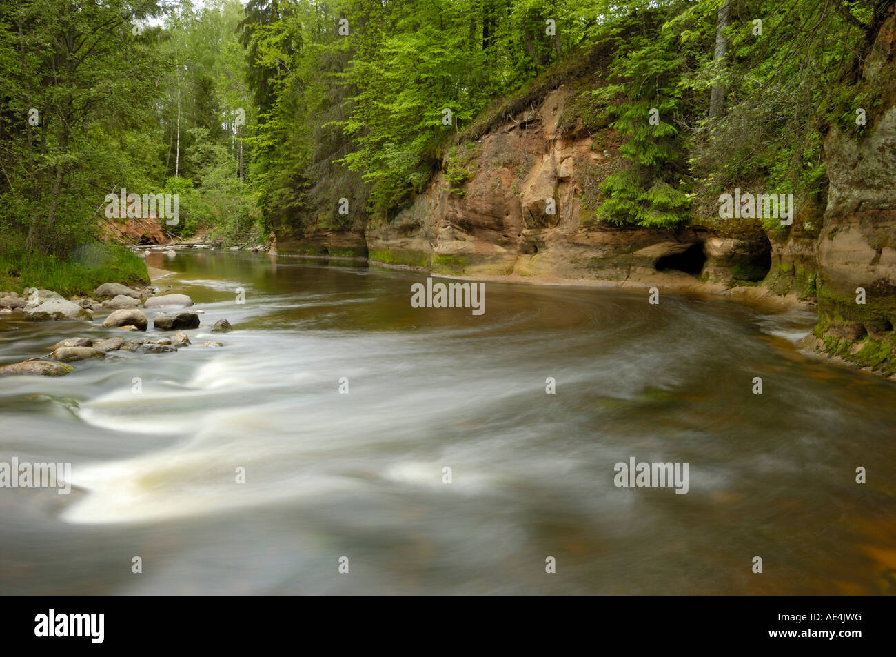 River Amata, Gauja National Park, Latvia, Baltic States, Europe Stock ...
