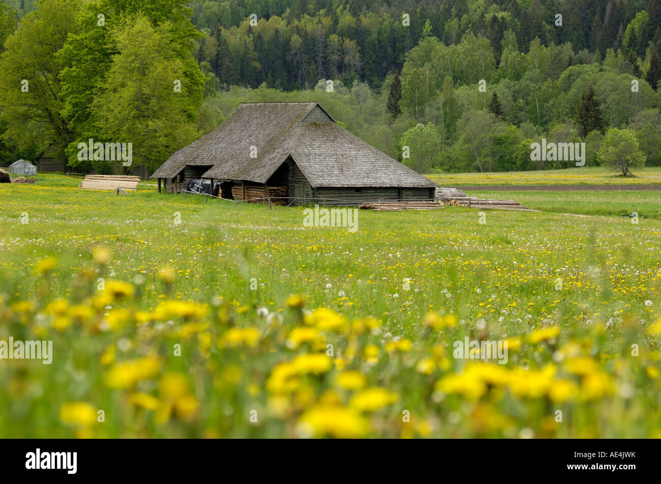 Typical Latvian farmstead, near Ligatne, Gauja National Park, Latvia ...