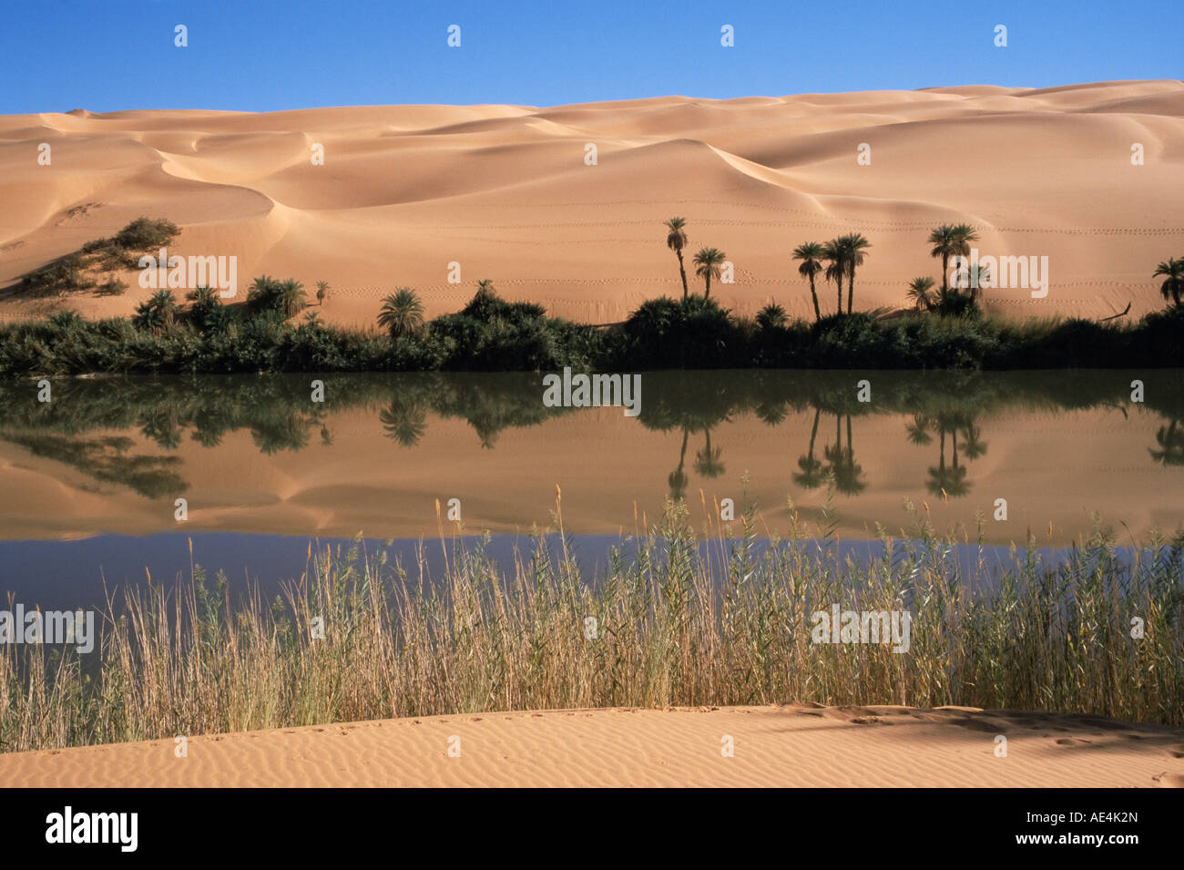 Mandarvalley hi-res stock photography and images - Alamy
