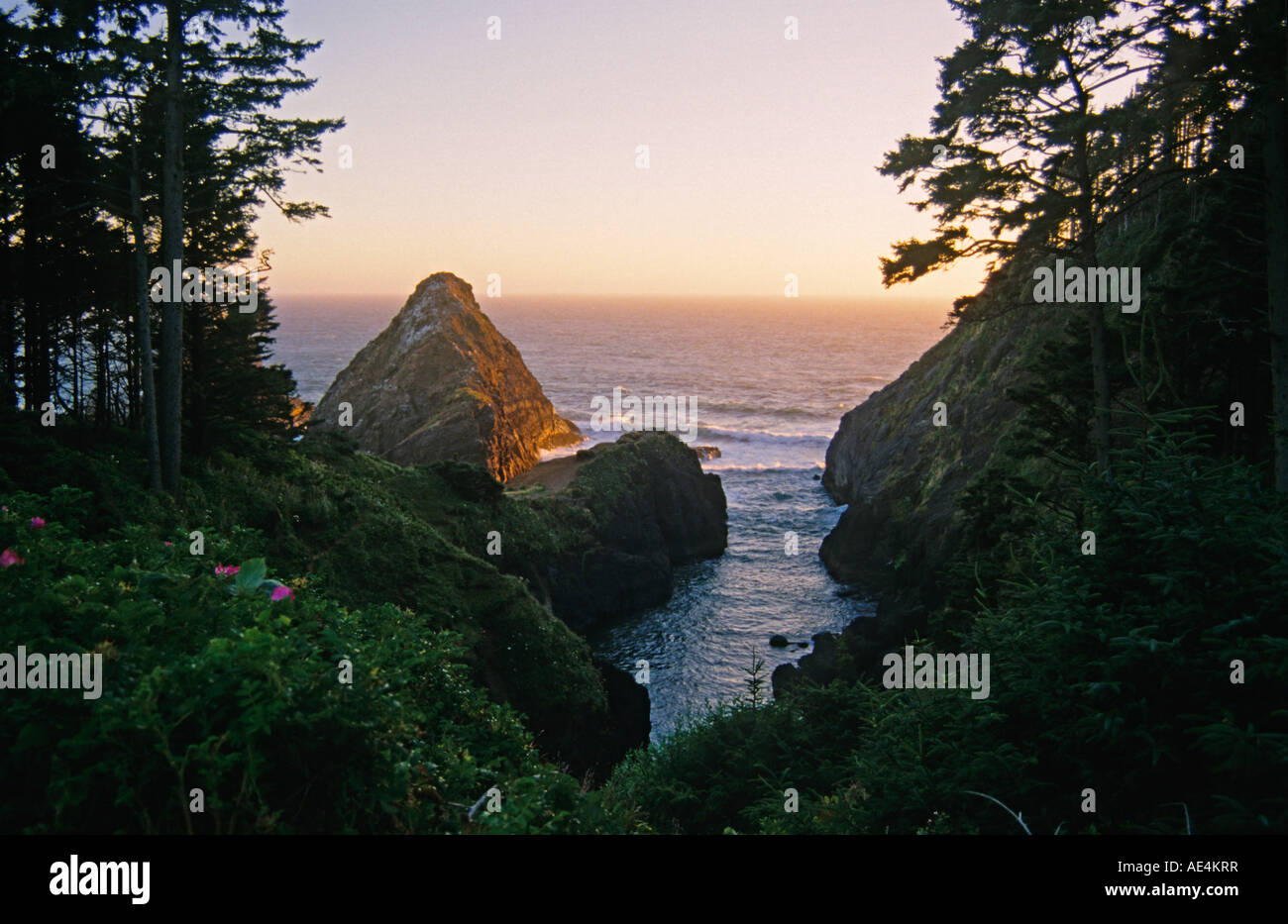 Devil's Elbow State Park, Oregon, United States of America, North ...