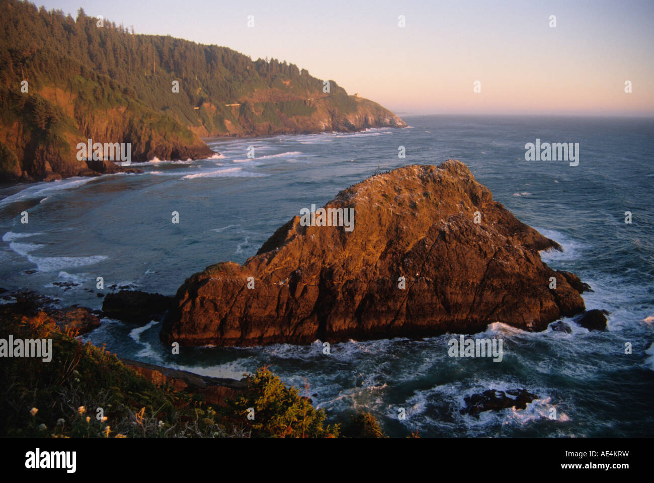 Devil's Elbow State Park, Oregon, United States of America, North ...