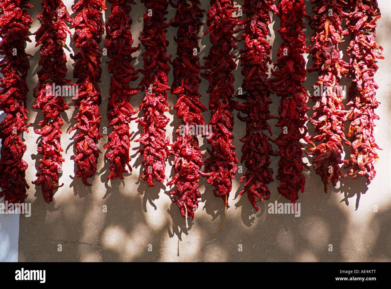 Chili ristras, Chimayo, New Mexico, United States of America, North ...