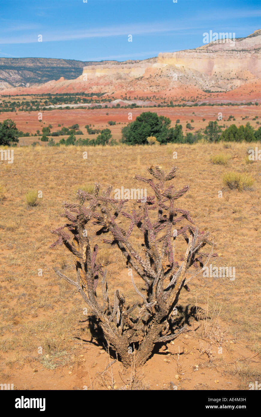 Rio arriba county hi-res stock photography and images - Alamy