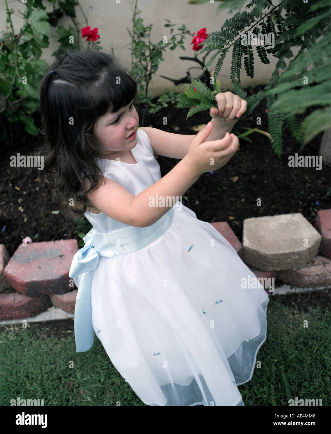 Flower girl sitting by rose bushes playing with flowers looking up ...