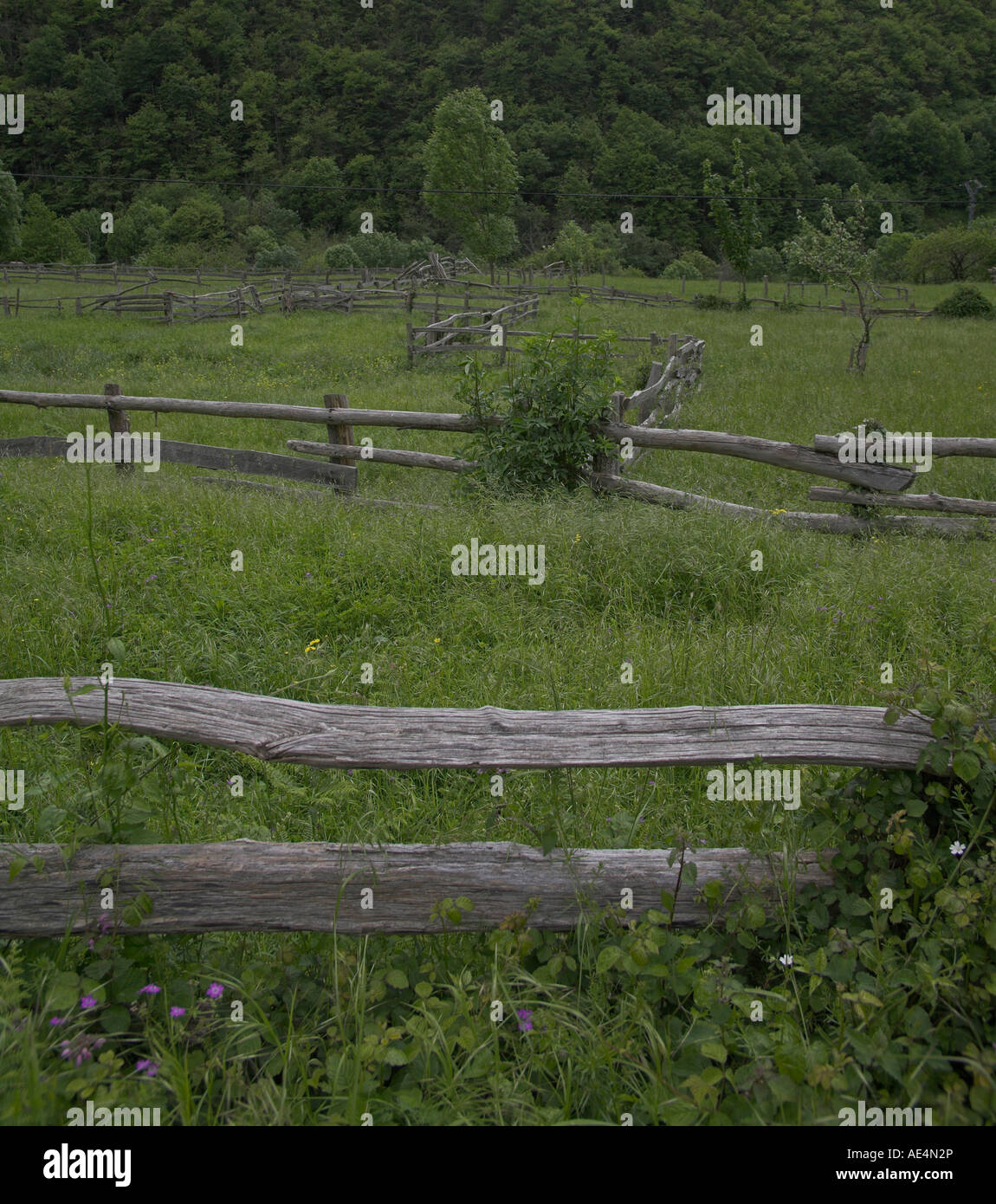 rustic timber fence Picos de Europa Asturias Spain Stock Photo - Alamy