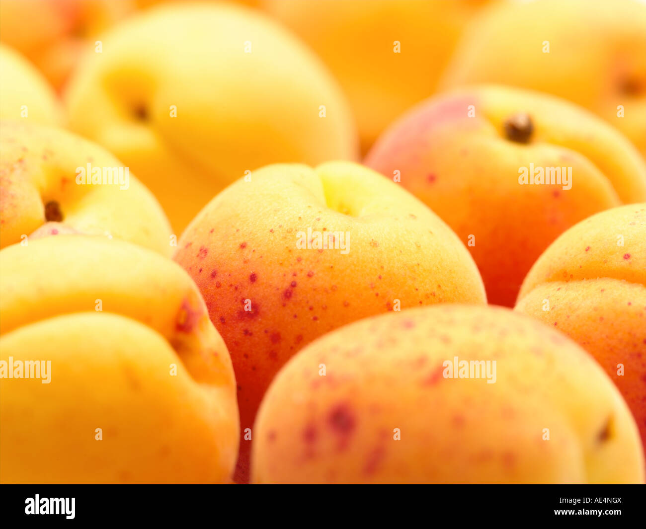 Golden apricots hi-res stock photography and images - Alamy