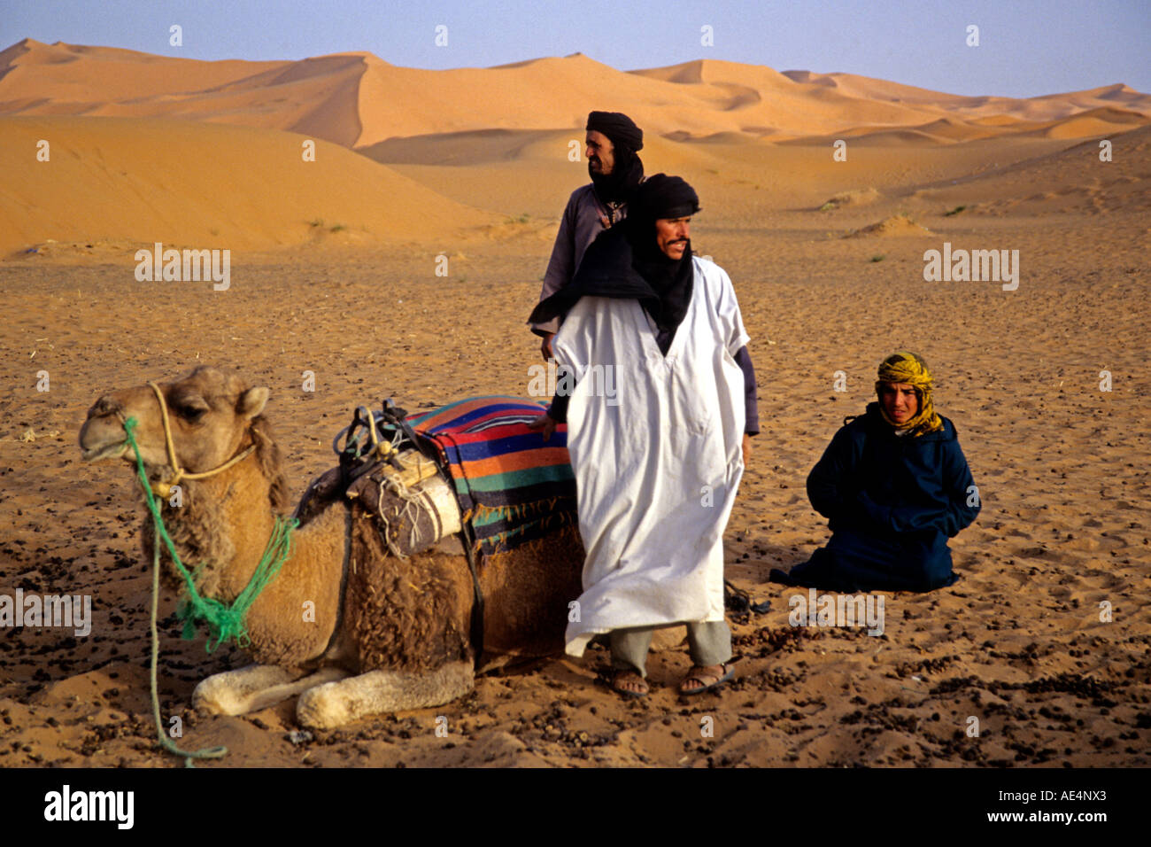 Berber camel drivers relax at sunset on the Sahara Desert, Morocco ...