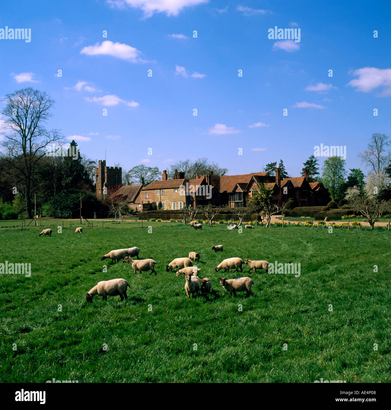 Exchequer court hi-res stock photography and images - Alamy