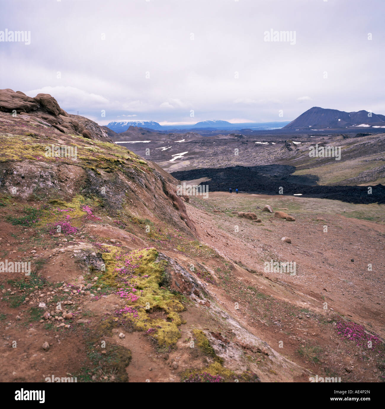 Black lava flow in middle distance, Krafla volcanic region, active ...