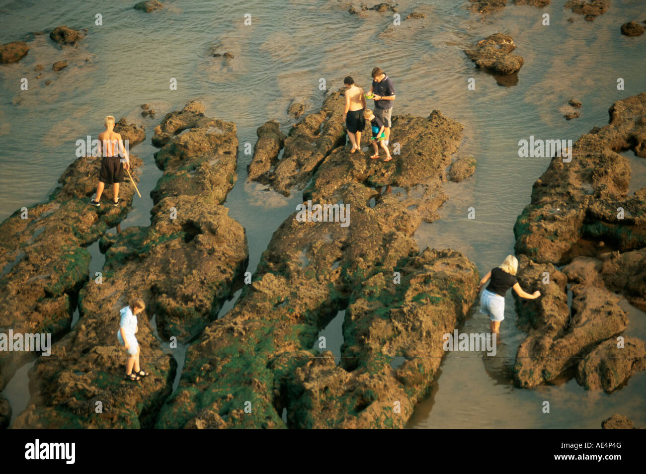 Children fishing in rock pools, Sidmouth, Devon, England, United ...