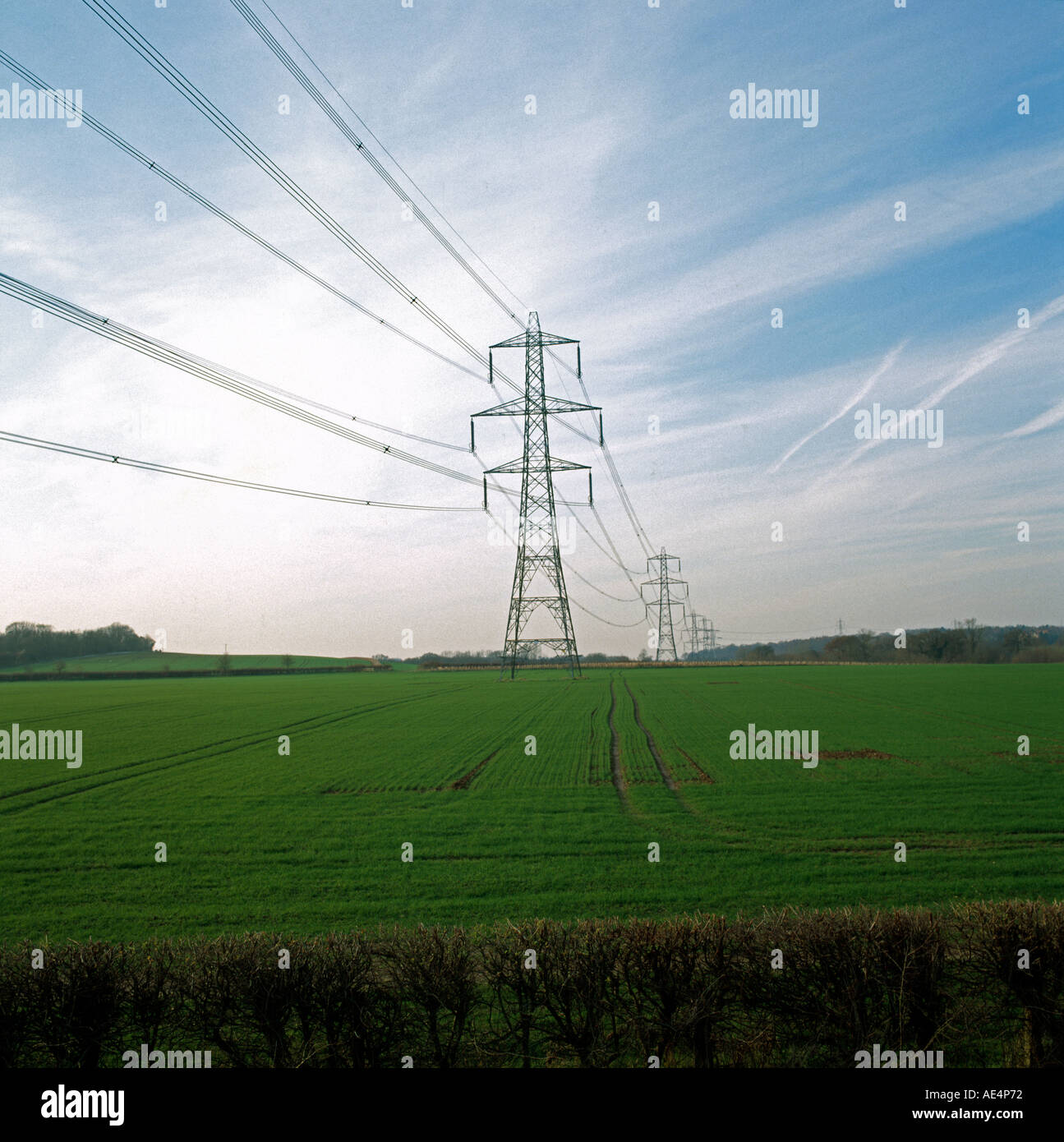 Line of electricity pylons receding into the distance England Stock ...