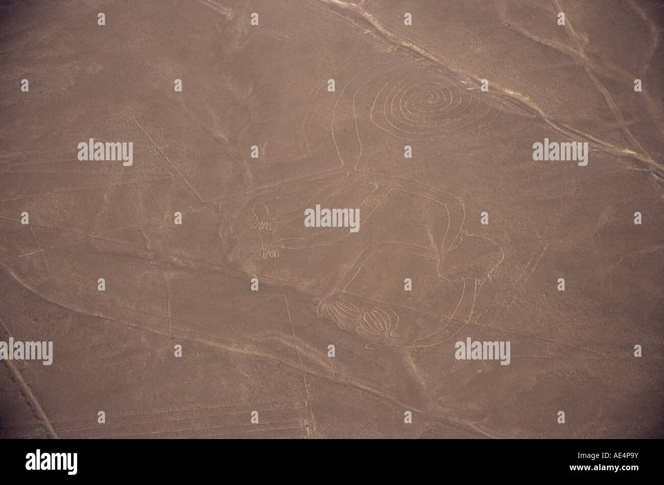 Monkey, Nazca (Nasca) Lines, UNESCO World Heritage Site, Peru, South ...
