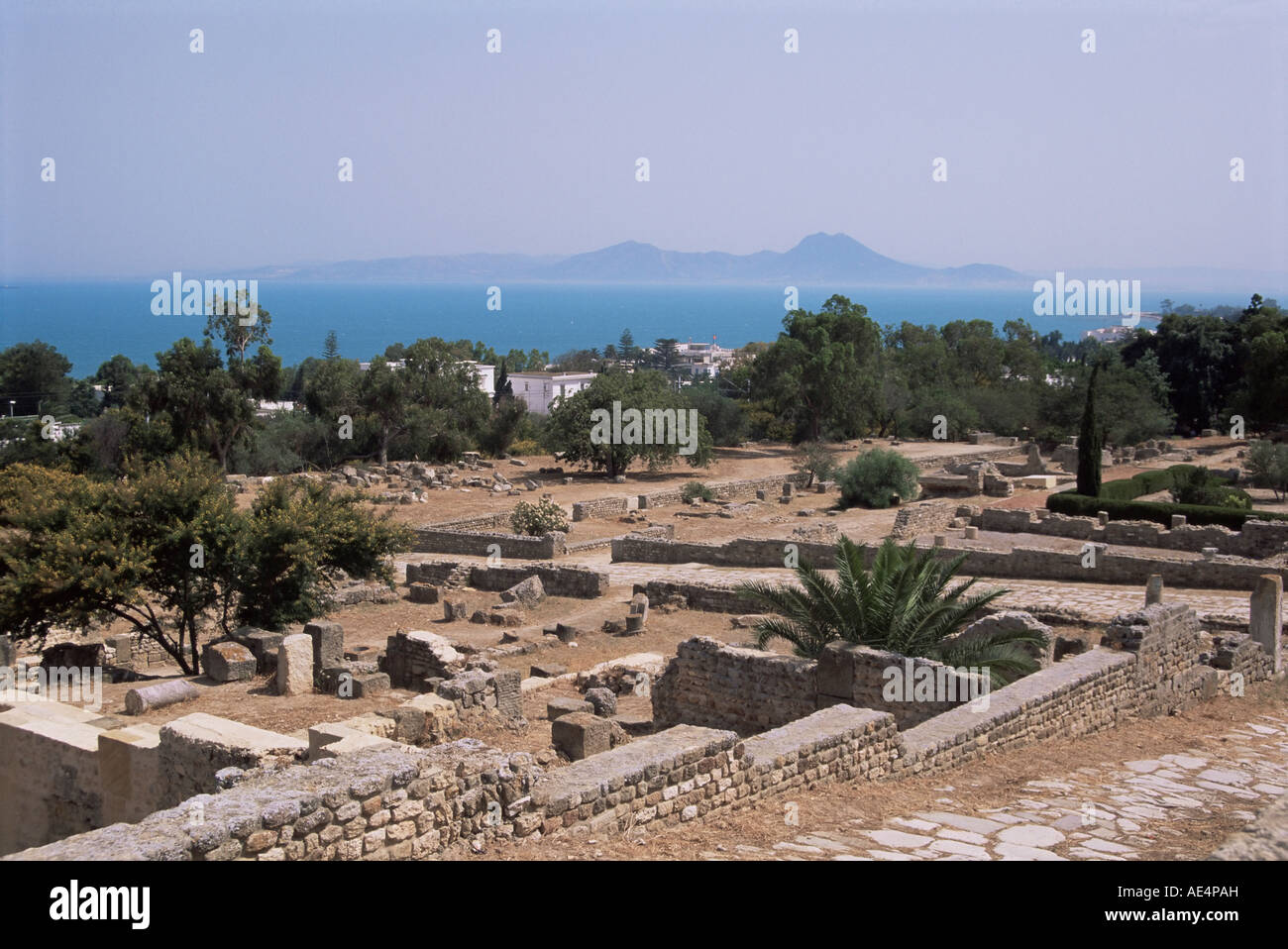 Remains of Roman villas, Carthage, UNESCO World Heritage Site, Tunisia ...