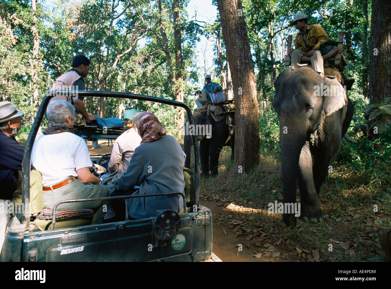 Tiger spotting india hi-res stock photography and images - Alamy