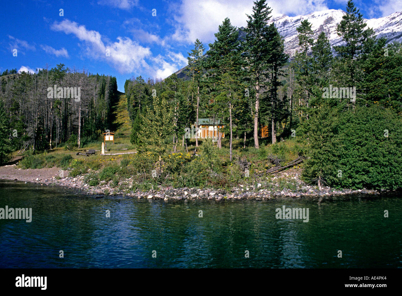 Us canada border trees hi-res stock photography and images - Alamy