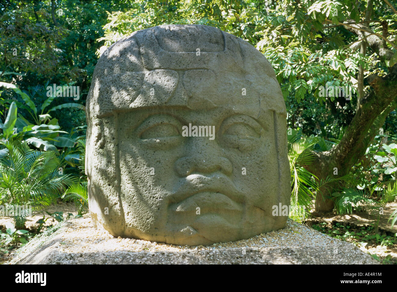 Olmec stone head at Parque-Museo la Venta, Villahermosa, Tabasco ...