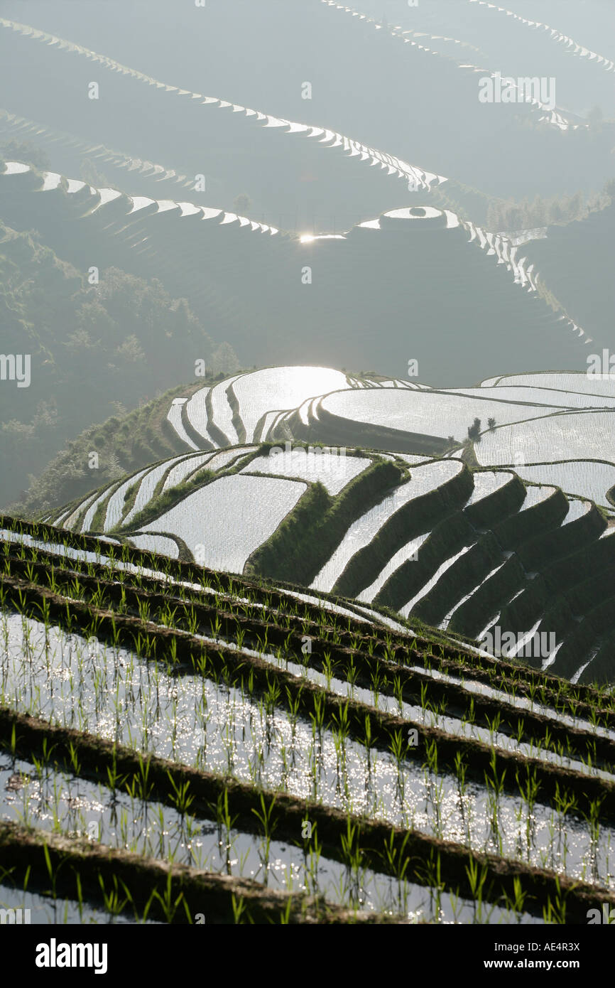 Longsheng terraced ricefields, Guangxi Province, China, Asia Stock ...