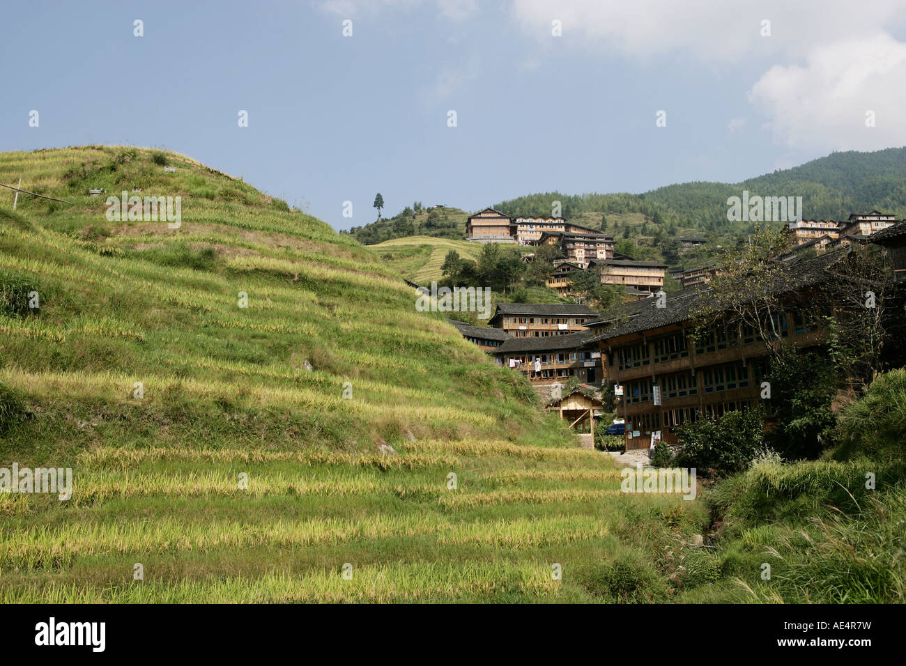 Longsheng terraced ricefields, Guilin, Guangxi Province, China, Asia ...