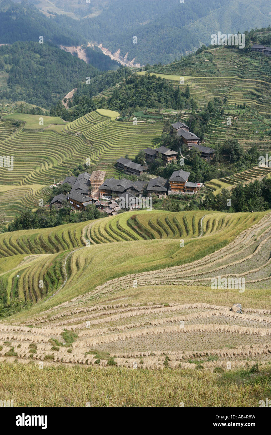 Longsheng terraced ricefields, Guilin, Guangxi Province, China, Asia ...