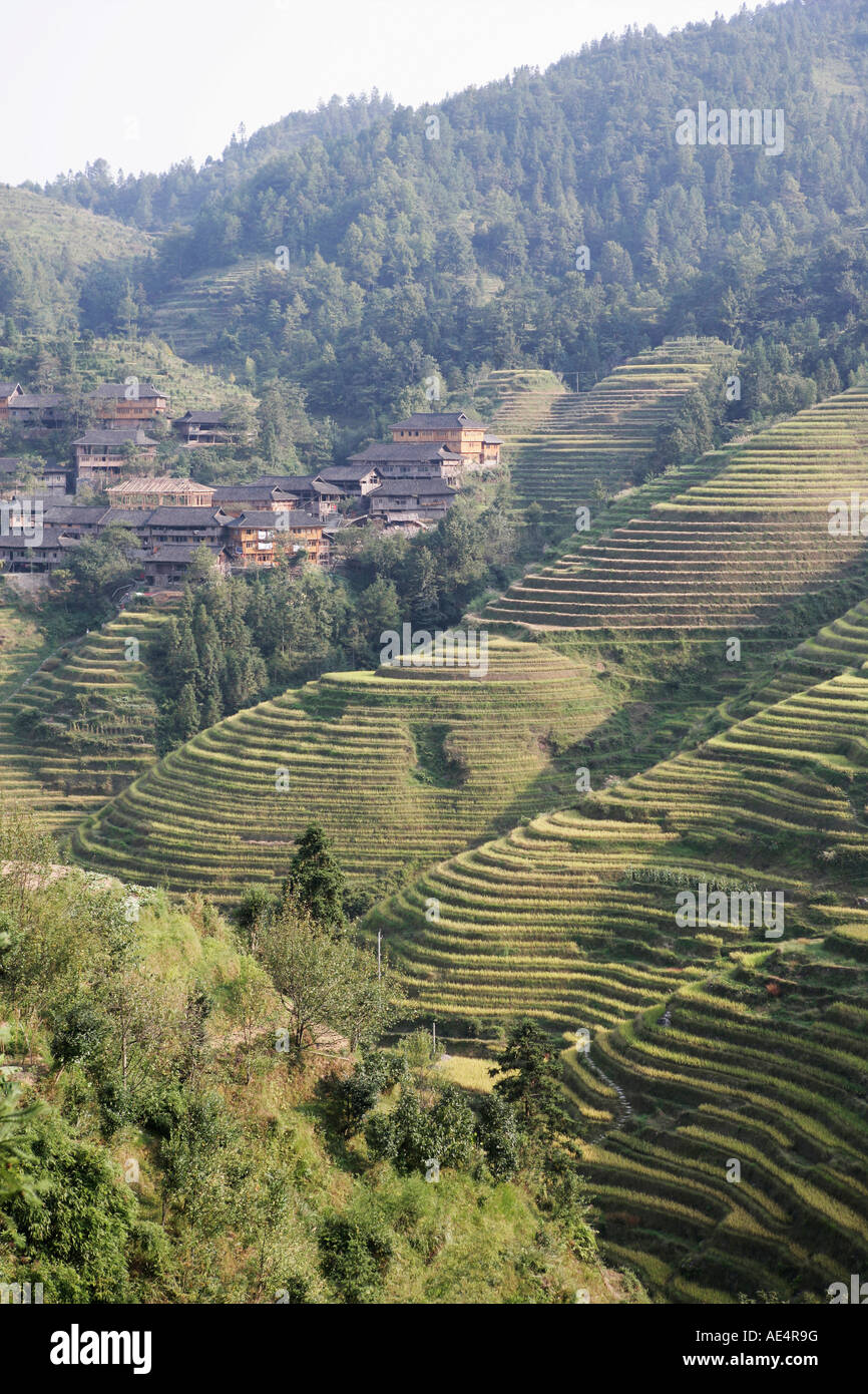 Longsheng terraced ricefields, Guilin, Guangxi Province, China, Asia ...