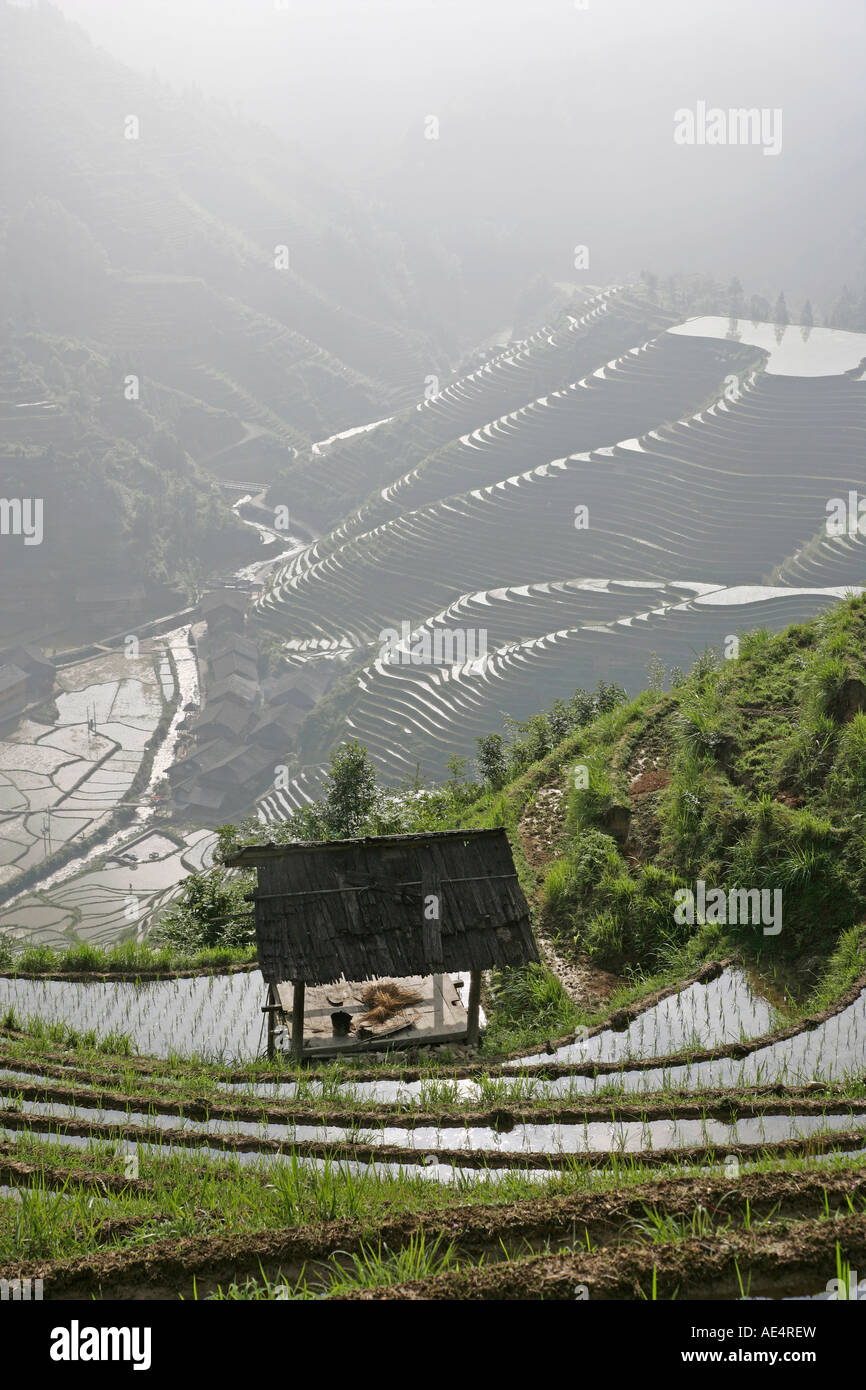 Longsheng terraced ricefields, Guangxi Province, China, Asia Stock ...