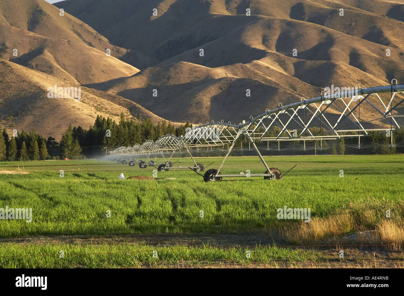 Rotary Irrigation