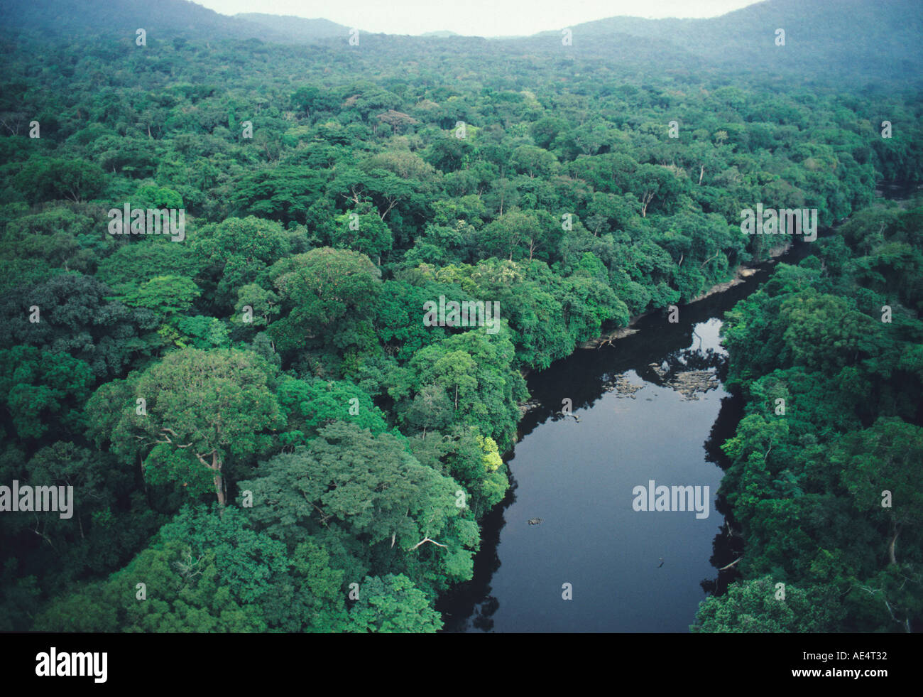 Aerial view of rainforest in south west Cameroon Stock Photo - Alamy