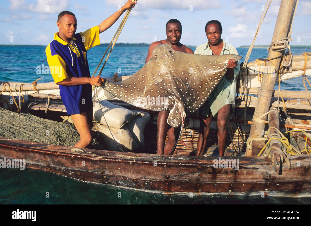 Coral reef mafia island hi-res stock photography and images - Alamy