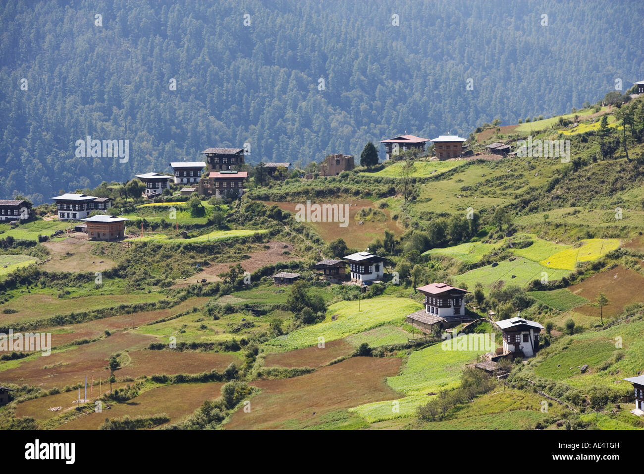 Haa valley bhutan hi-res stock photography and images - Alamy