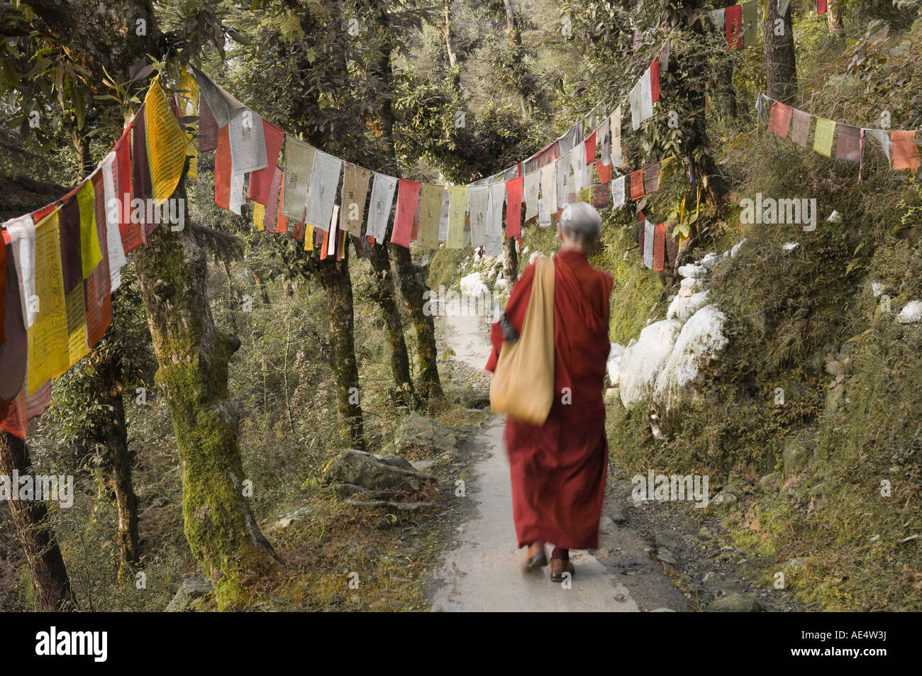 Buddhist monk walking down path, McLeod Ganj, Dharamsala, Himachal ...