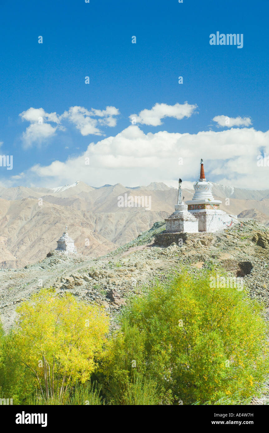Chorten, Indus Valley, Ladakh, Indian Himalayas, India, Asia Stock ...