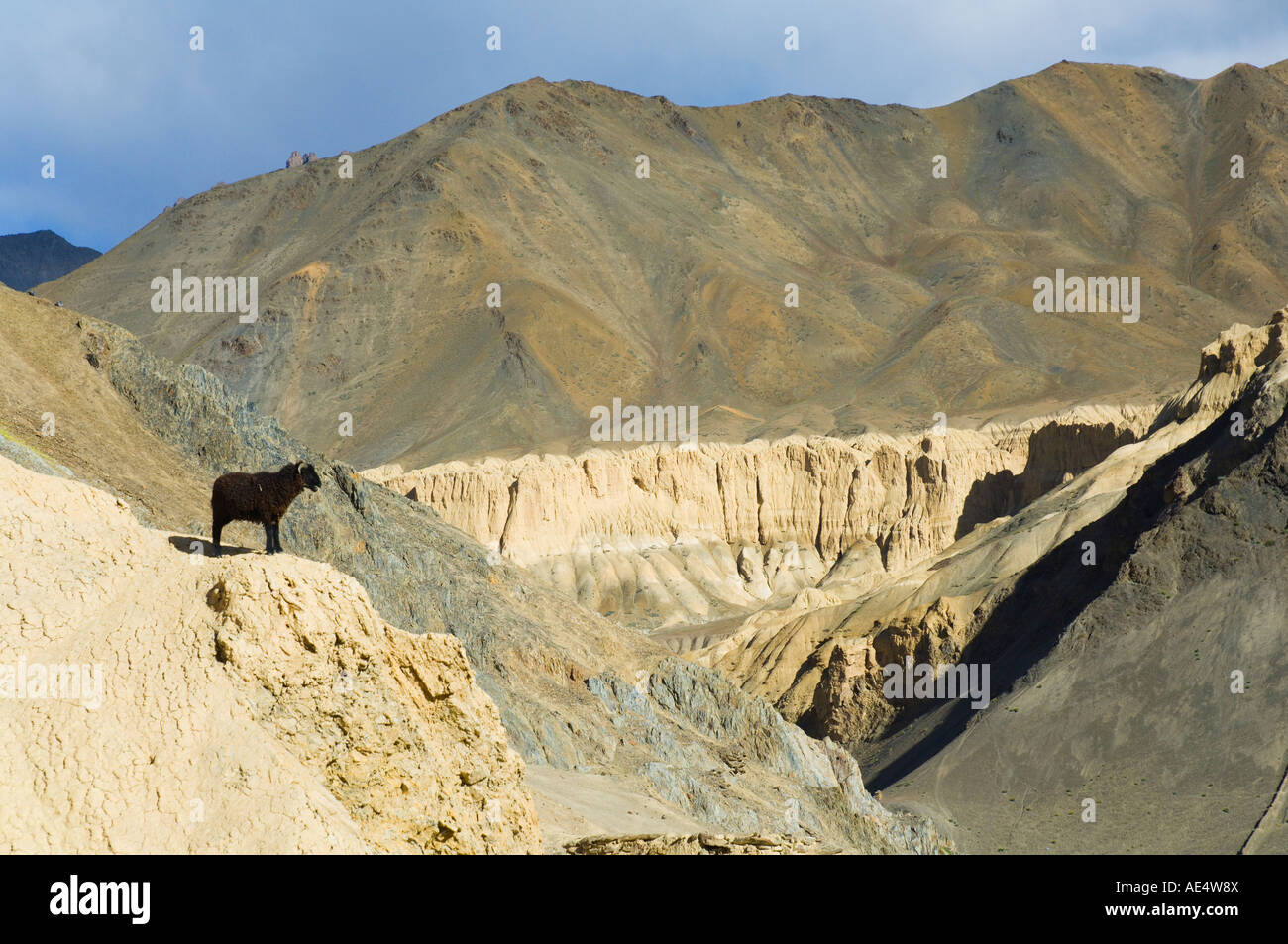 Moon Land of eroded cliffs, Lamayuru, Ladakh, Indian Himalayas, India ...