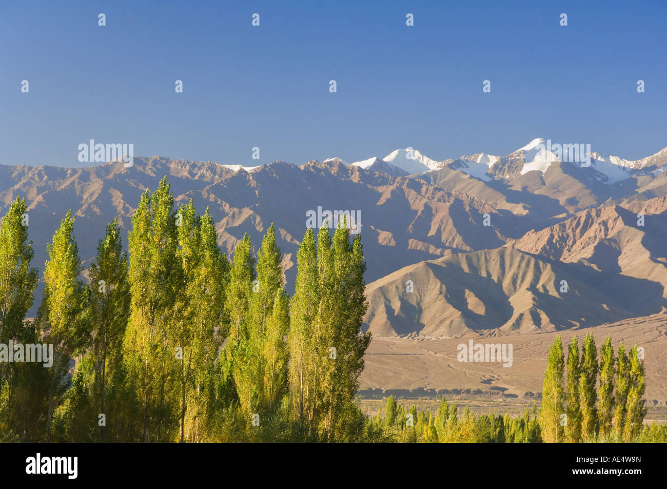 Indus Valley and Stok-Kangri massif, Leh, Ladakh, Indian Himalayas ...