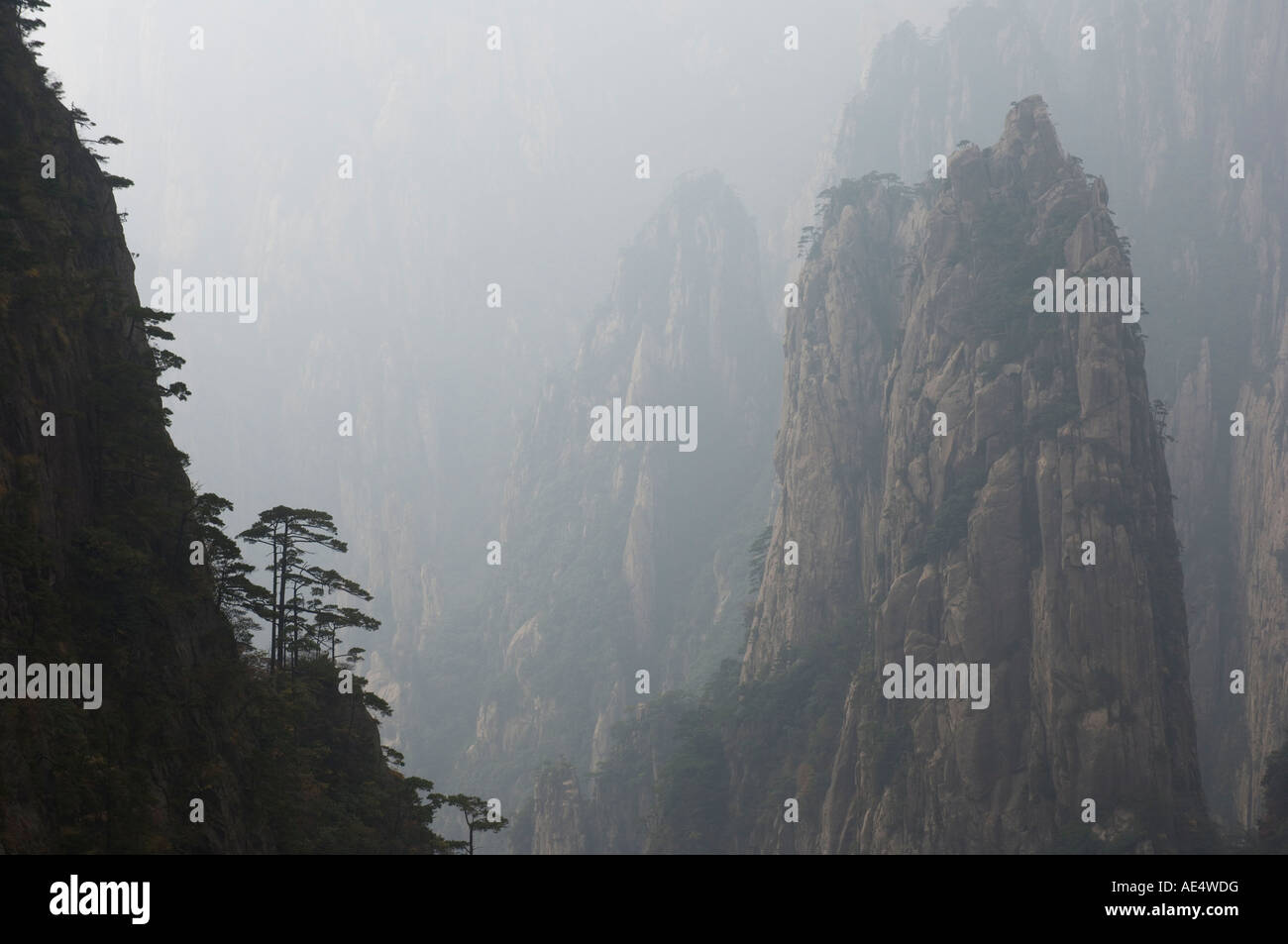 White Cloud Scenic Area, Mount Huangshan (Yellow Mountain), UNESCO World Heritage Site, Anhui ...