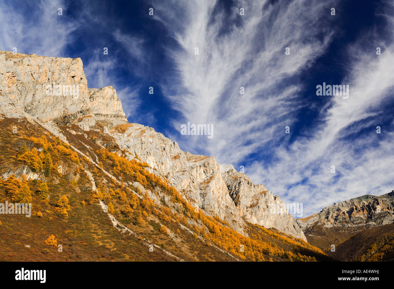 Yading Nature Reserve, Sichuan Province, China, Asia Stock Photo - Alamy