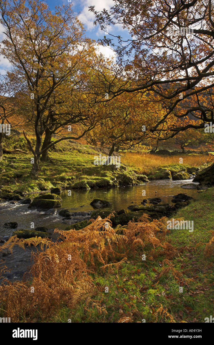 Autumn colours, Watendlath Beck, Borrowdale, Lake District National ...