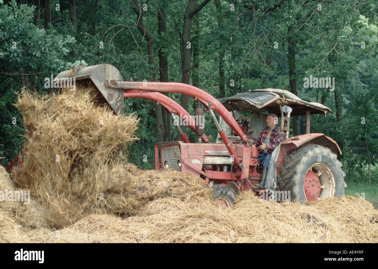 Landwirt bei der Arbeit Misthaufen umsetzen Stock Photo - Alamy