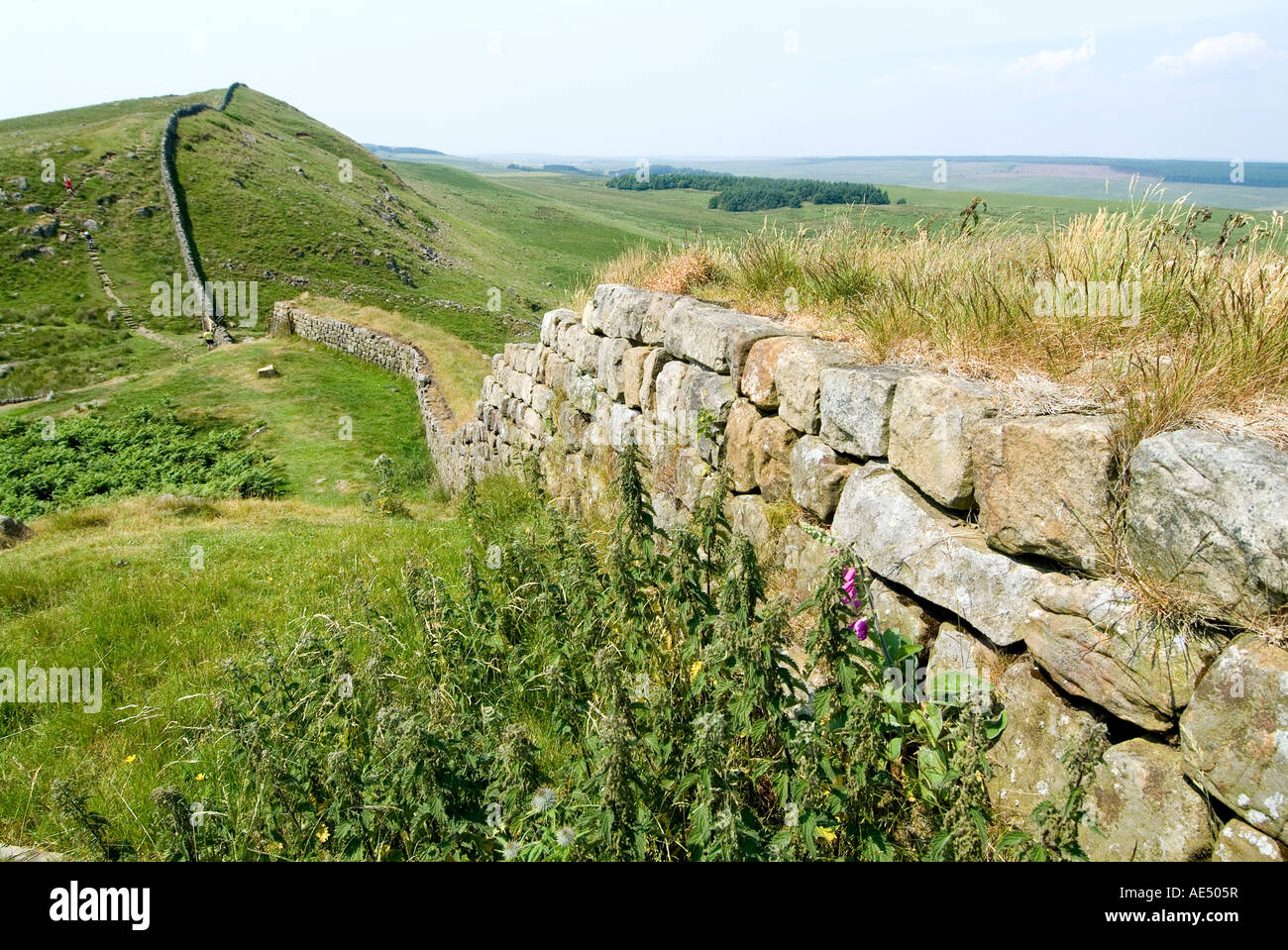 Hadrian's Wall, near Housesteads, UNESCO World Heritage Site ...