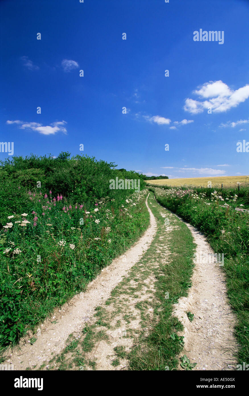 Curved path through countryside, Old Winchester Hill, Hampshire ...