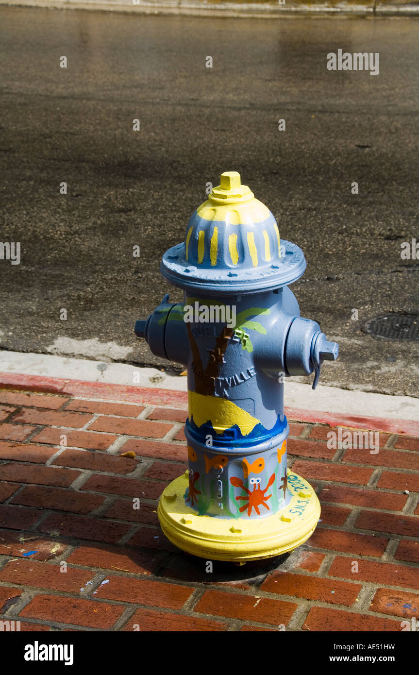 Painted fire hydrant, Key West, Florida, United States of America ...
