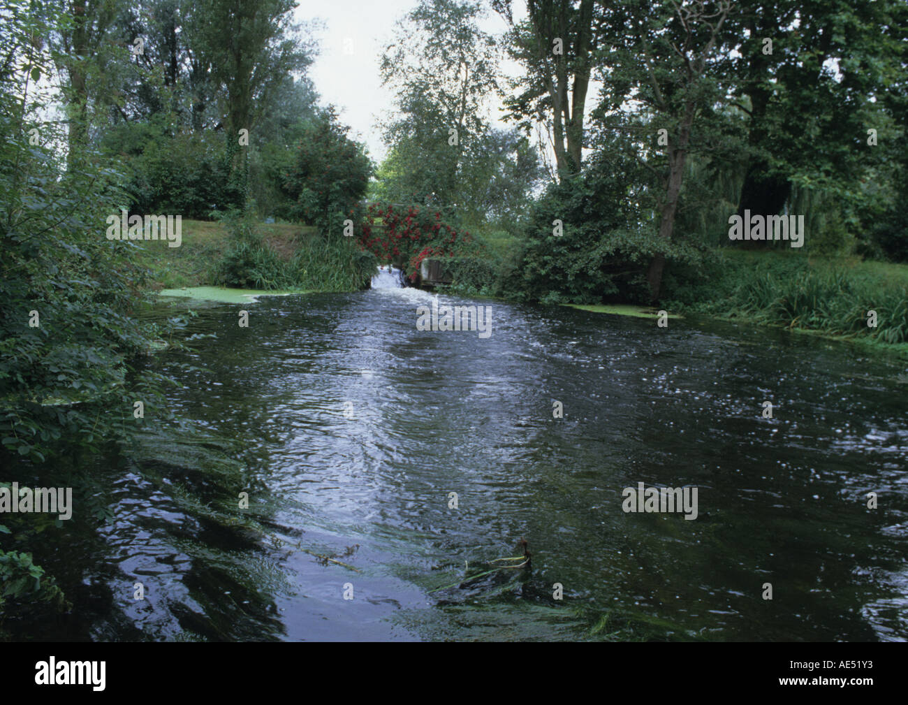 Ellingham hi-res stock photography and images - Alamy