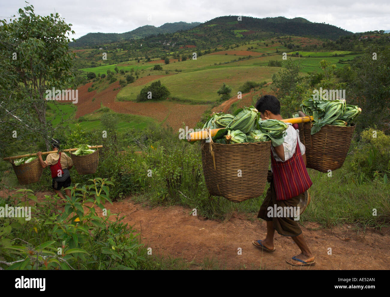 Two men carrying heavy loads on the way to local market, Shabin area ...